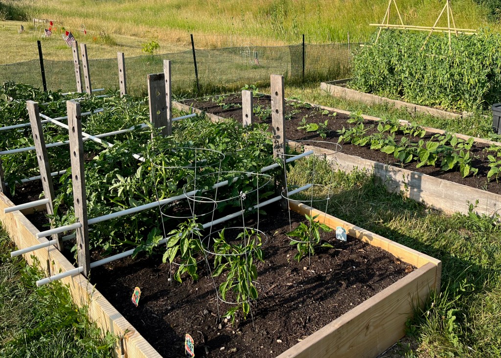 More munching mammals! | Clark House Historian